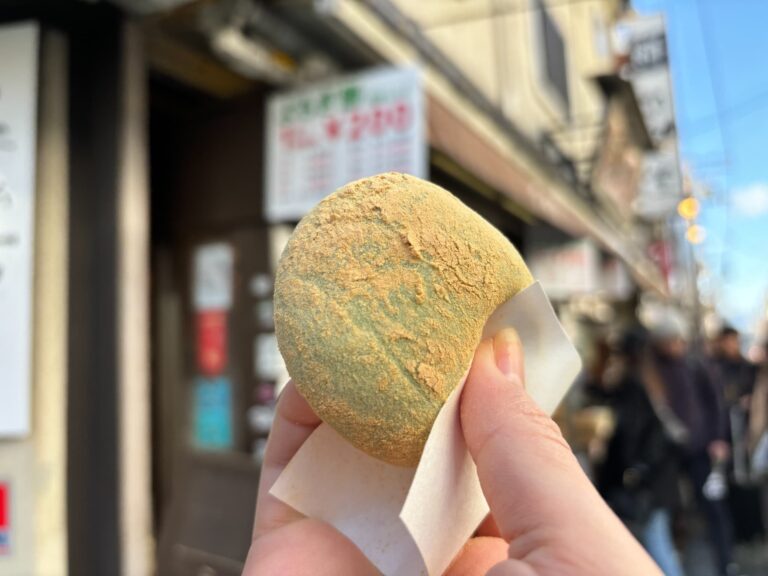 Experience High-Speed Mochi Pounding and Yomogi Mochi at Nakatanidou ...