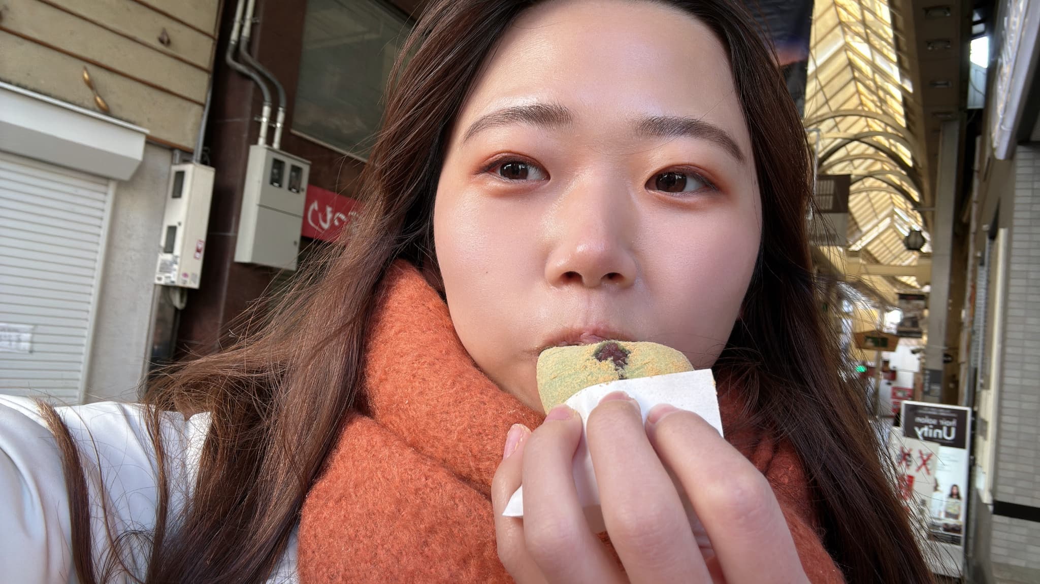 Experience High-Speed Mochi Pounding and Yomogi Mochi at Nakatanidou ...