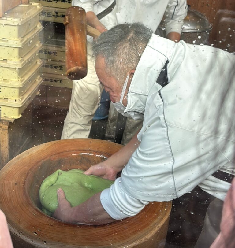 Experience High-Speed Mochi Pounding and Yomogi Mochi at Nakatanidou ...
